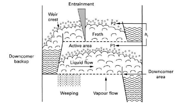 A Brief Introduction Into The Theory Of Absorption