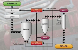Economic Evaluation of Four Biomass To Electricity Systems ...