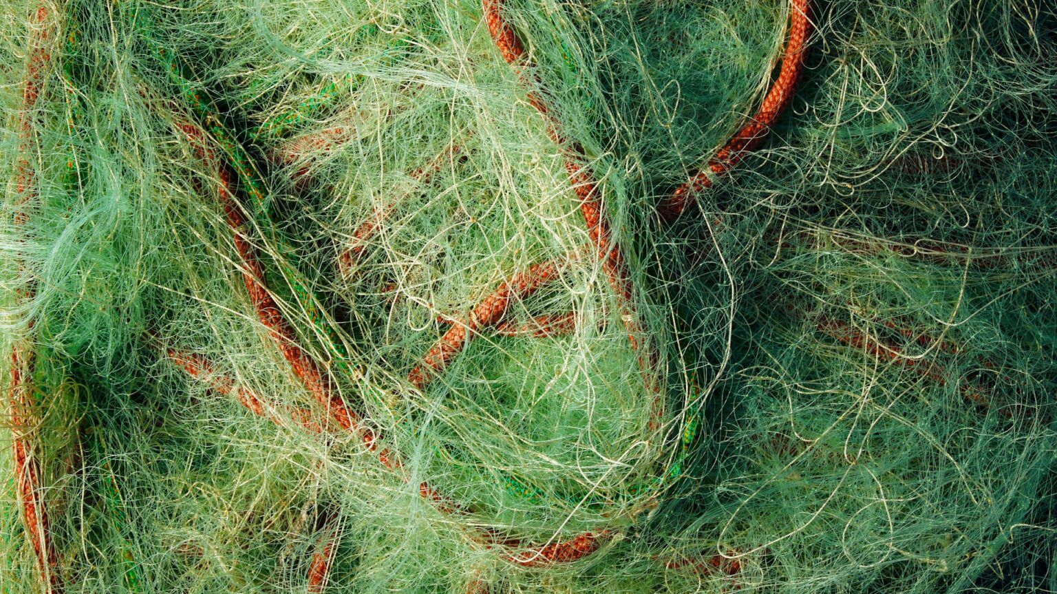 Waste Plant Fibers Could Reduce Construction Costs and Improve ...